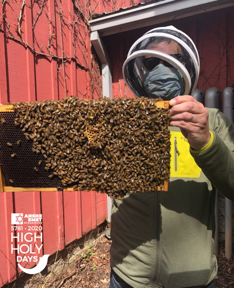 It’s A Bee’s Life with AES Member Leonard Rau | Anshe Emet Synagogue ...