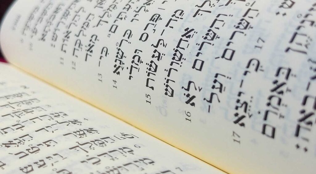 hebrew-torah | Anshe Emet Synagogue